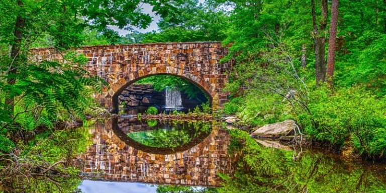 DMV Hot Springs - DMV